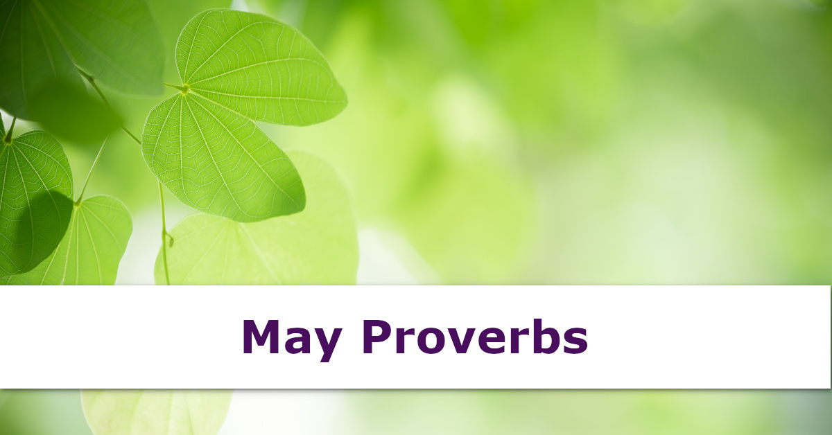 May Proverbs - Mission of Grace