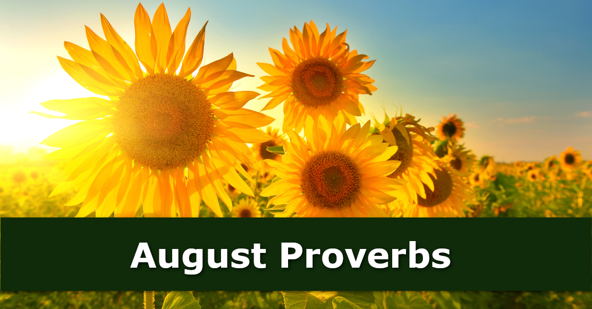 August Proverbs - Mission of Grace